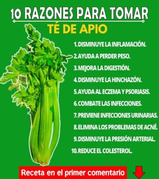 Razones para beber té de apio - Todo sobre Remedios